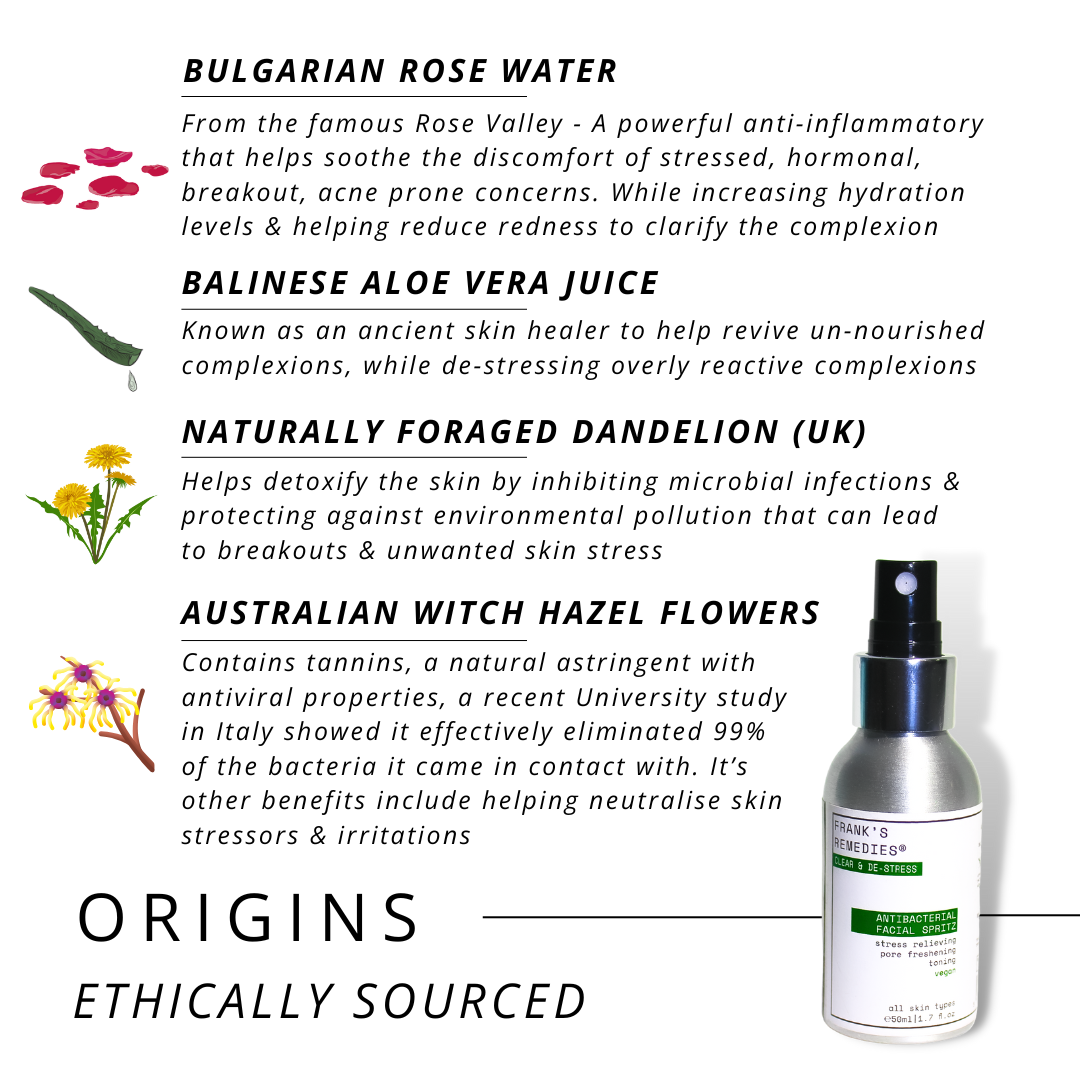 Antibacterial Face Spray | Vegan Skincare For Clear Skin – Frank's ...